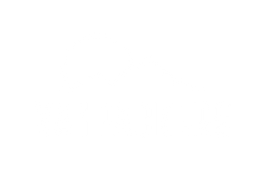 Van Conversion Kits | Removable and DIY | Vanpackers®